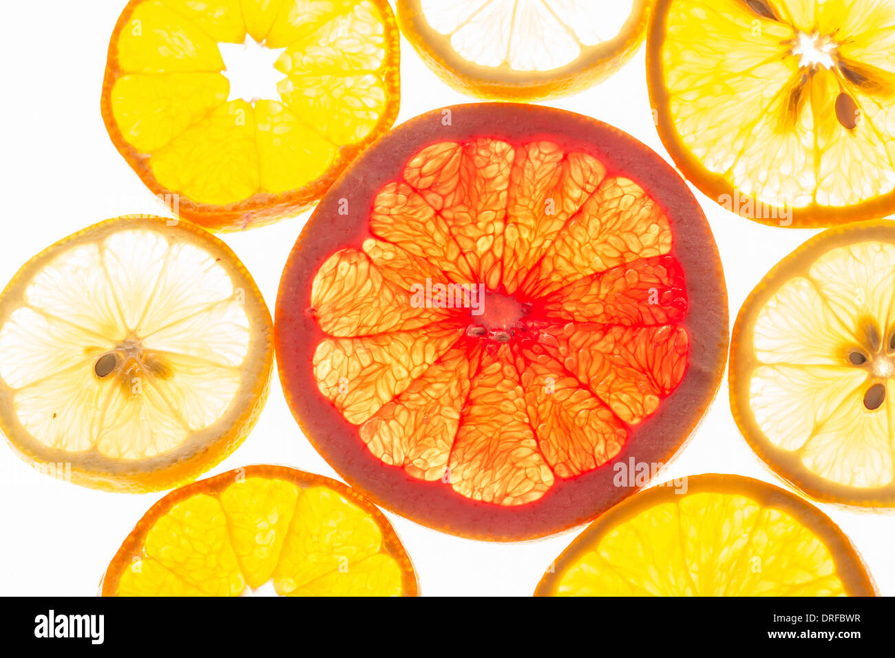 Citrus Fruits, Cross Section, Germany Stock Photo - Alamy