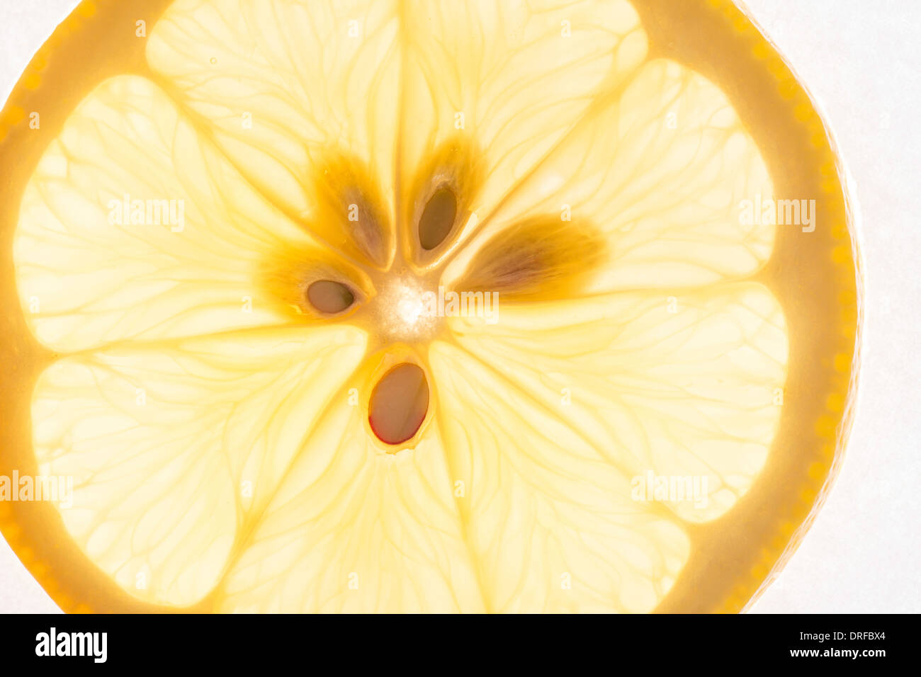 Lemon cross section seed hi-res stock photography and images - Alamy