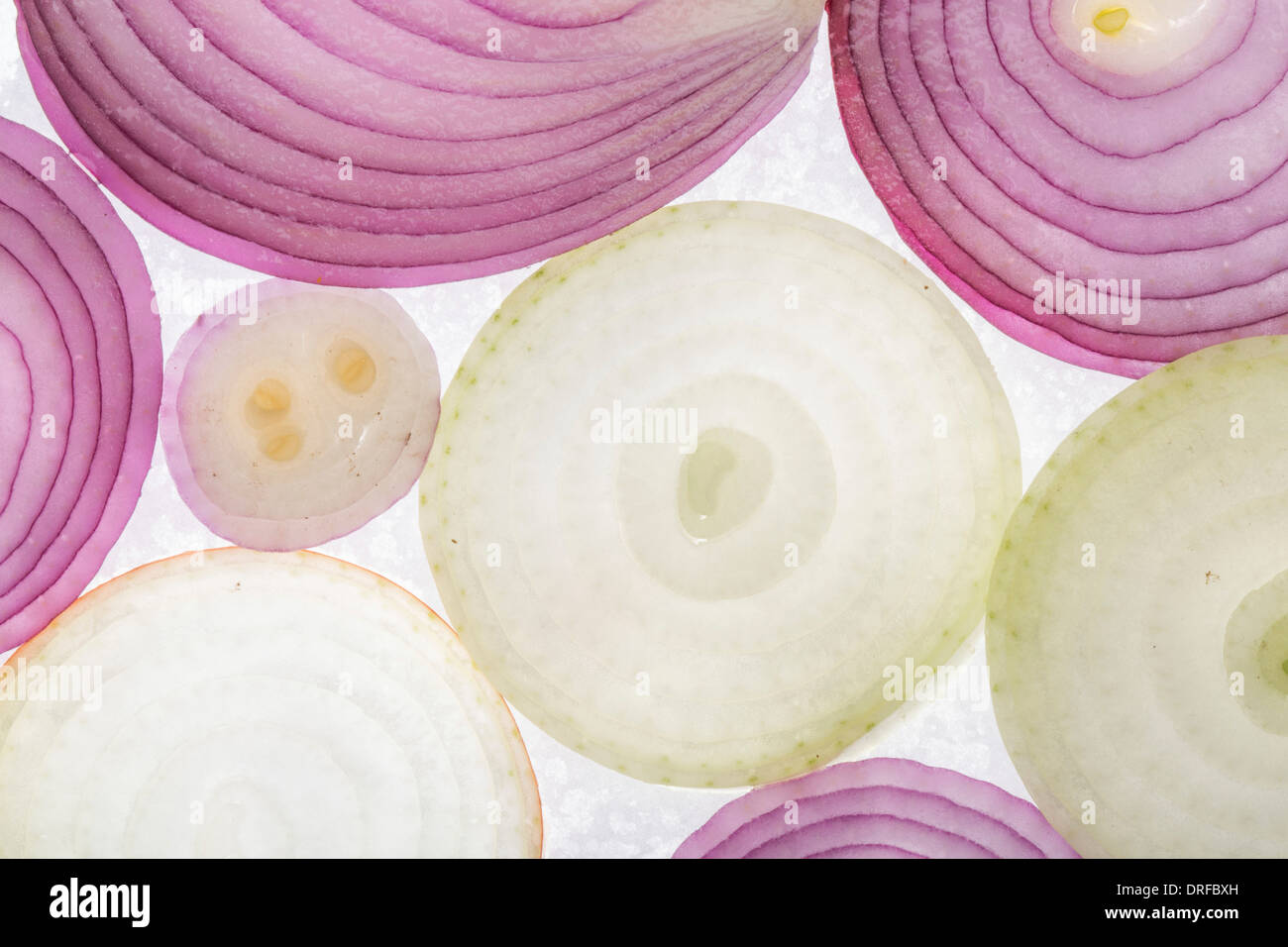 Cross section onion hi-res stock photography and images - Alamy