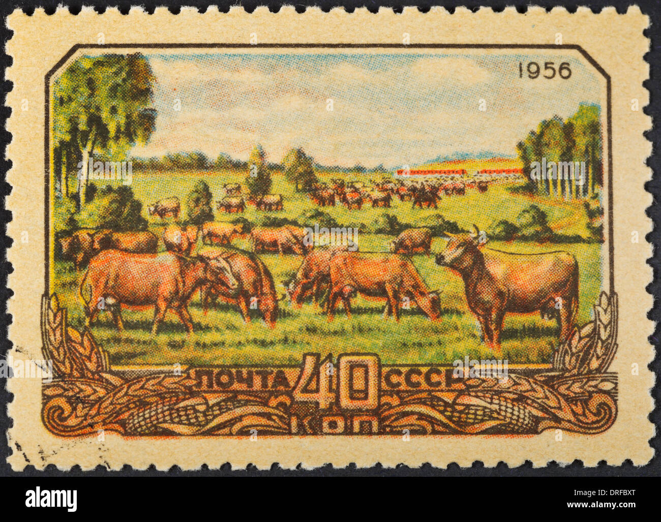 Meat stamp hi-res stock photography and images - Alamy