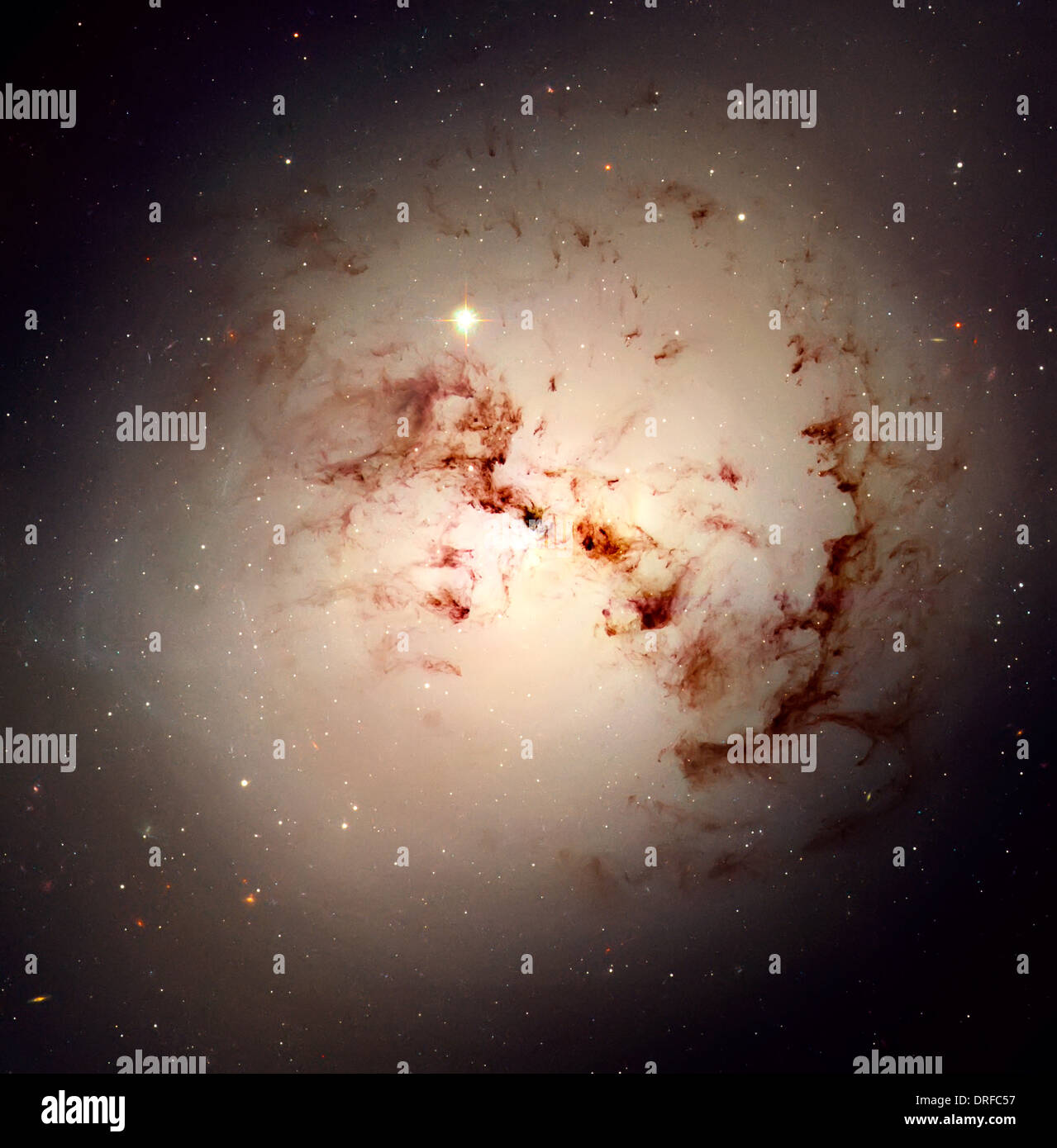 Elliptical galaxy hi-res stock photography and images - Alamy