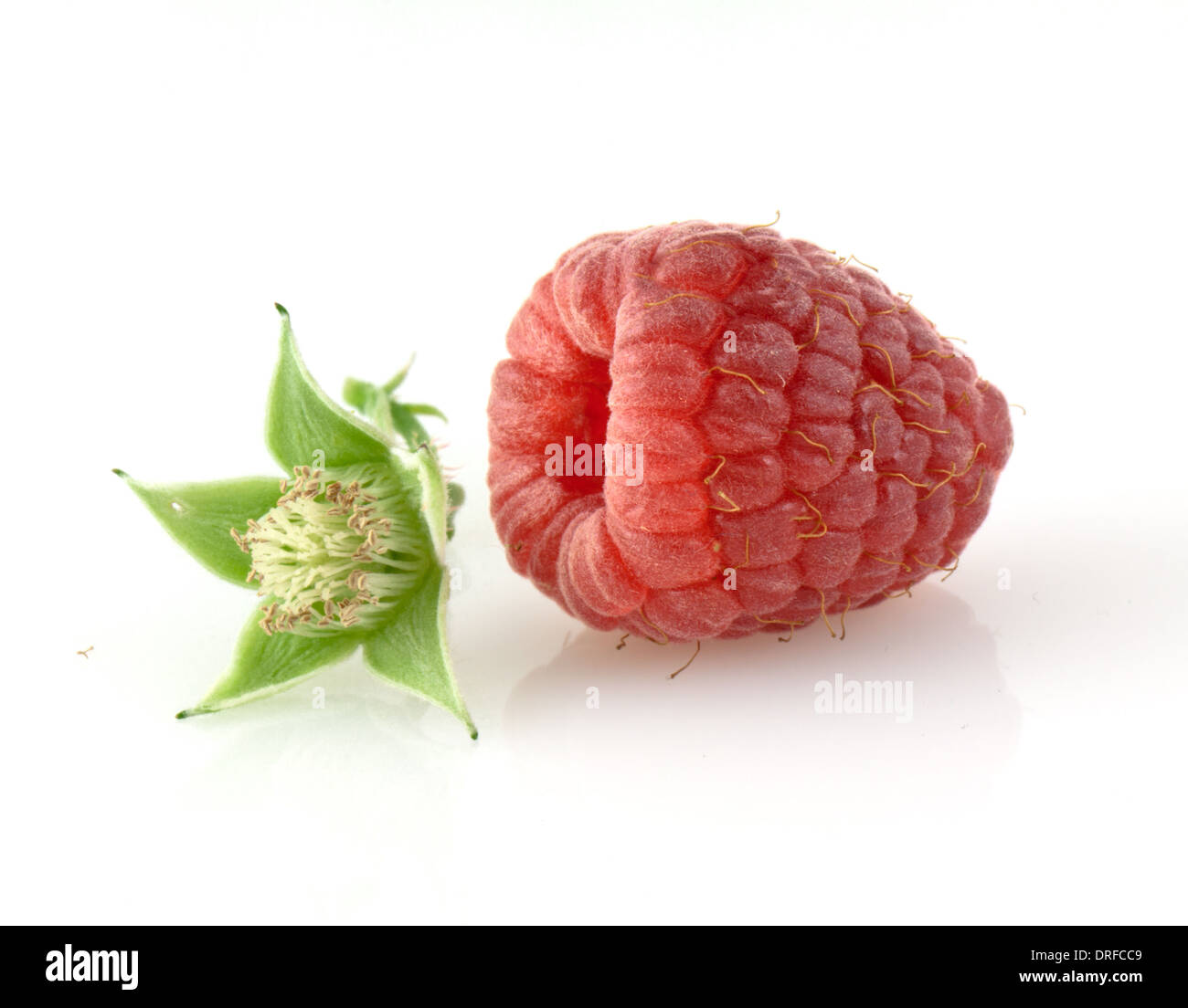 Raspberry isolated on white background Stock Photo - Alamy
