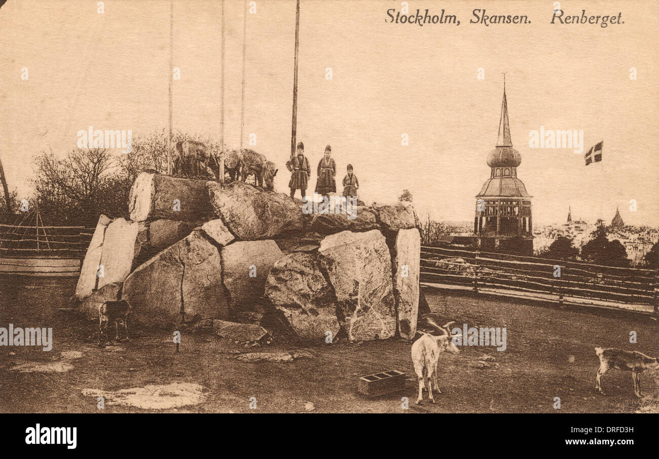 Stockholm skansen zoo hi-res stock photography and images - Alamy