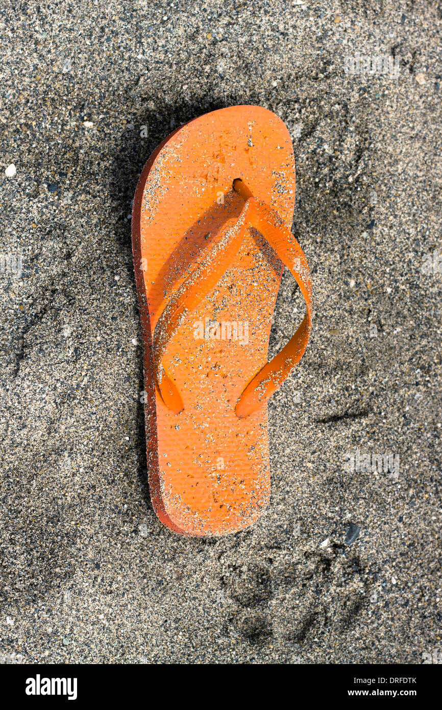Orange flip-flop on sandy beach Stock Photo - Alamy