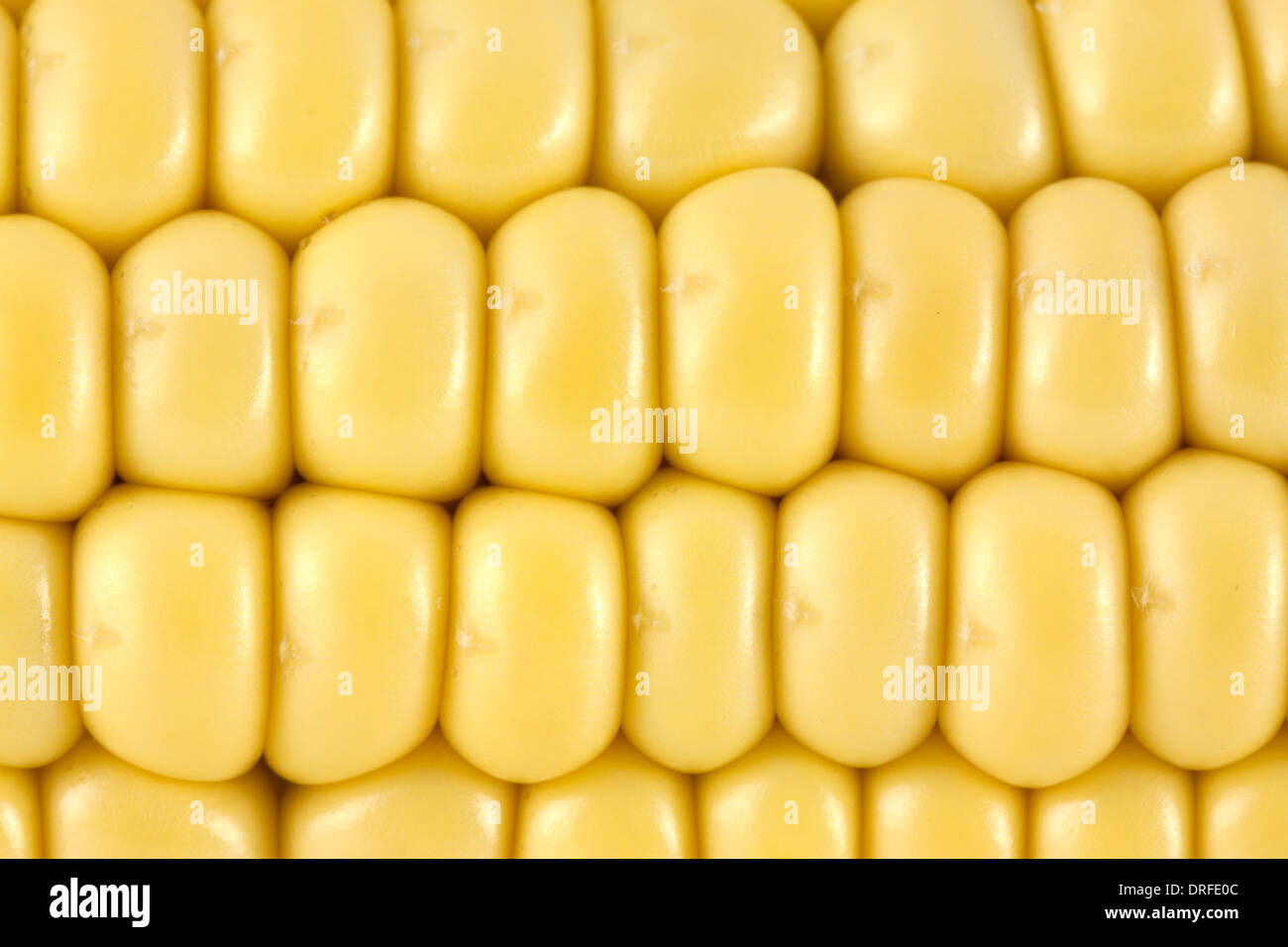 Yellow corn background Stock Photo - Alamy
