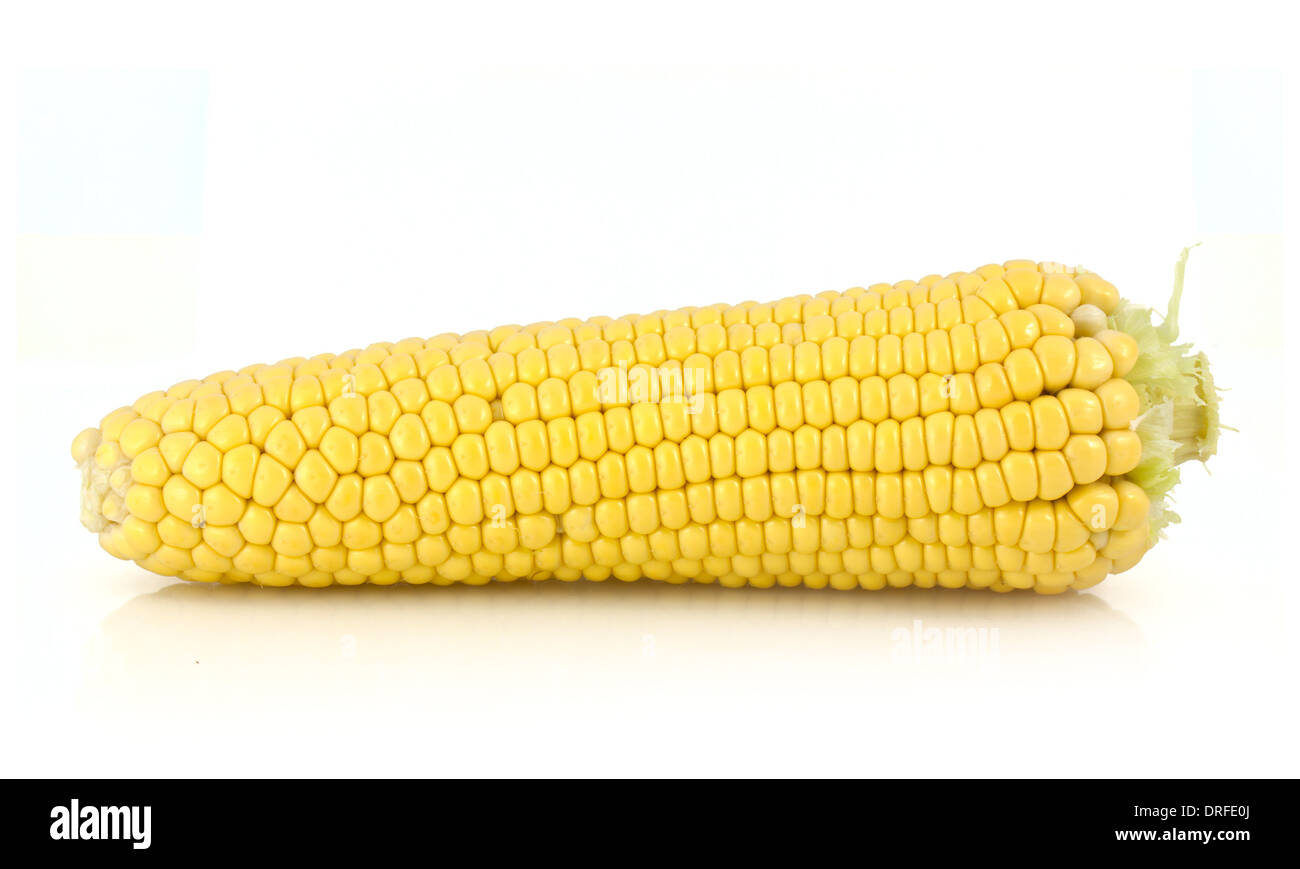 Studio shot yellow corn Cut Out Stock Images & Pictures - Alamy