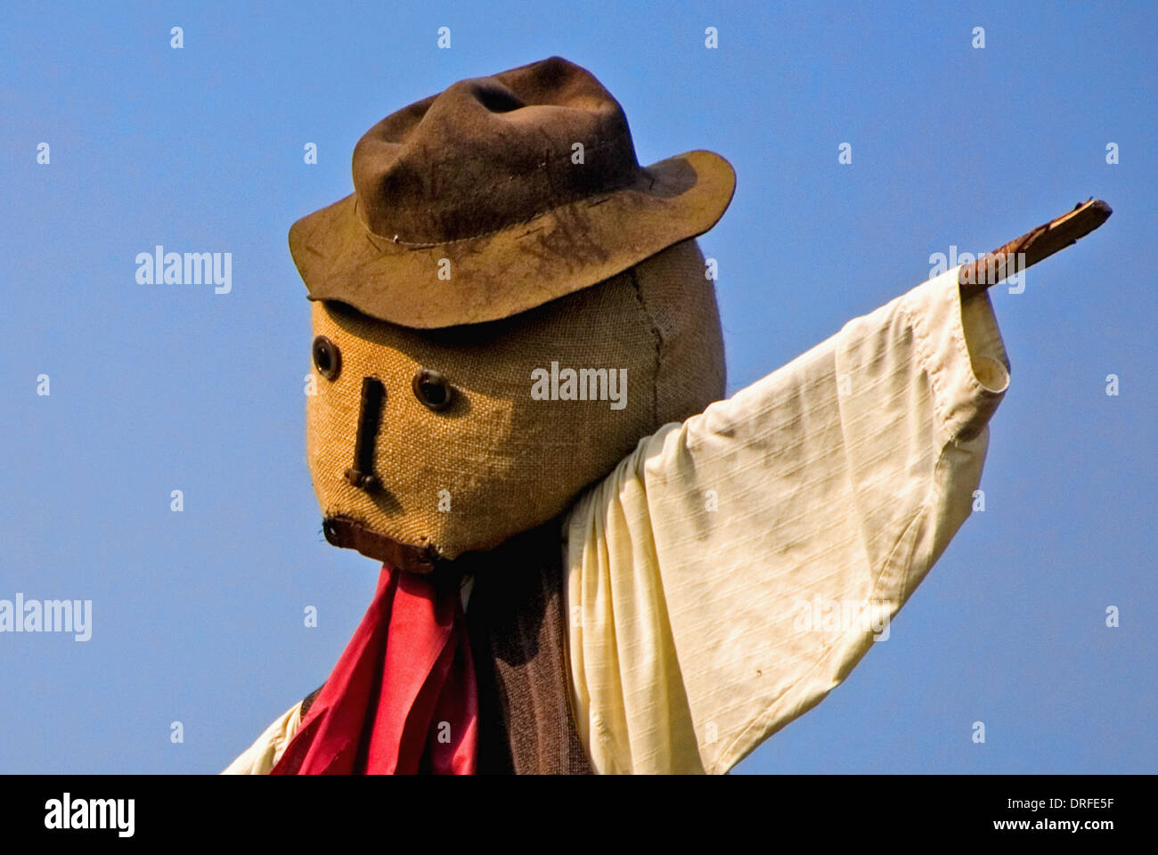 Scarecrow headshot hi-res stock photography and images - Alamy