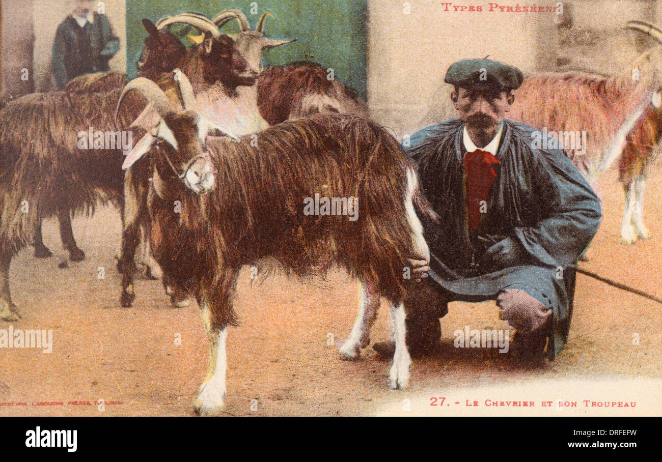 Pyrenean Goat Shepherd and his Flock Stock Photo - Alamy