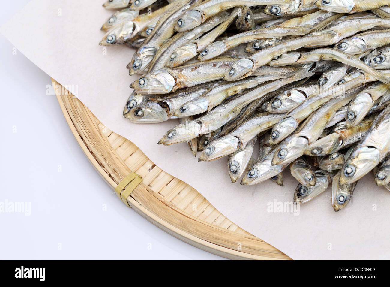 Sea colander hi-res stock photography and images - Alamy