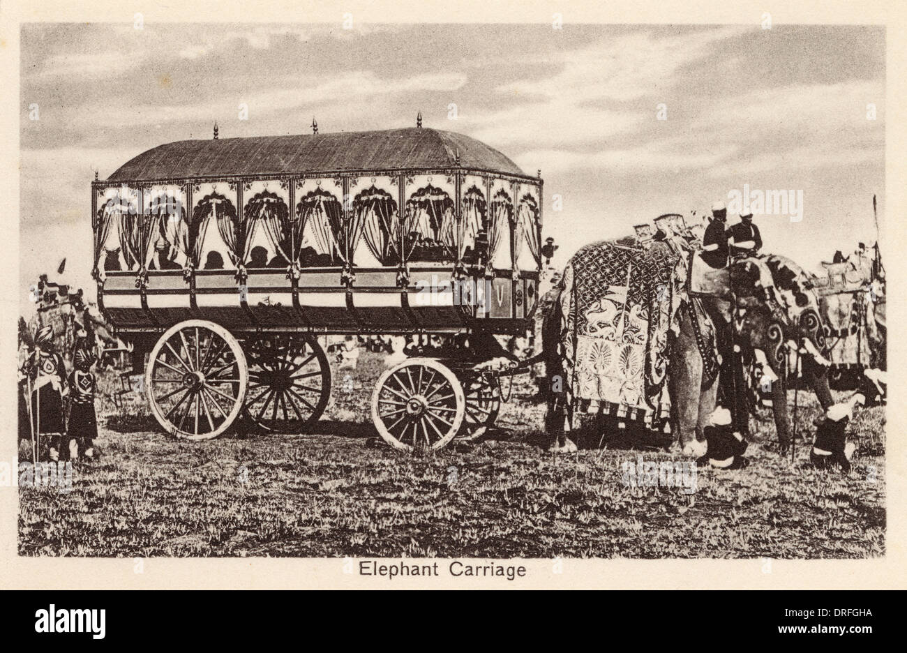 Indian Elephant Carriage - India Stock Photo - Alamy
