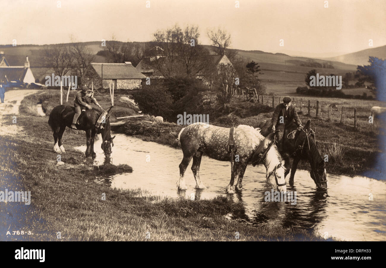 Cumbrian farm buildings hi-res stock photography and images - Alamy