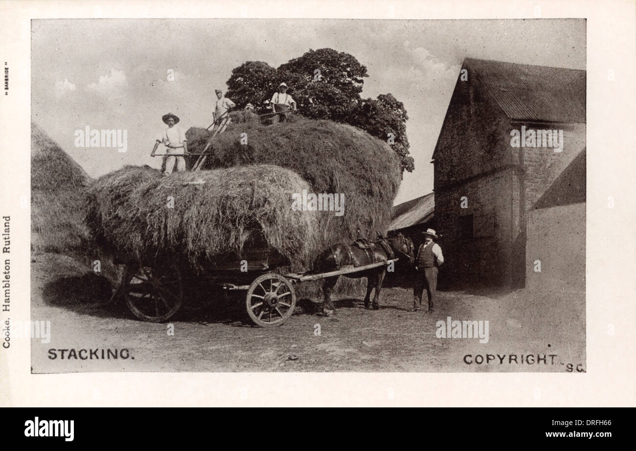 Horse cart farm hay hi-res stock photography and images - Alamy