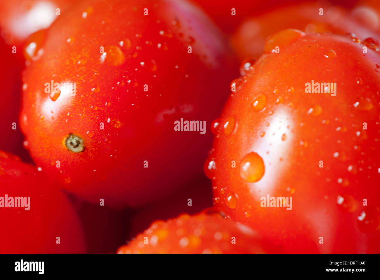 Mini tomatoes vine hi-res stock photography and images - Alamy