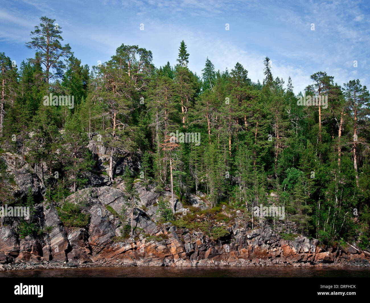 Scandinavian and russian taiga hi-res stock photography and images - Alamy