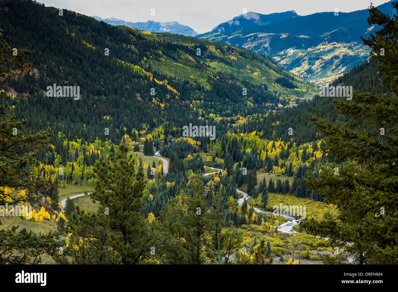 Autumn color in the San Miguel River valley, Colorado 145, San Juan ...