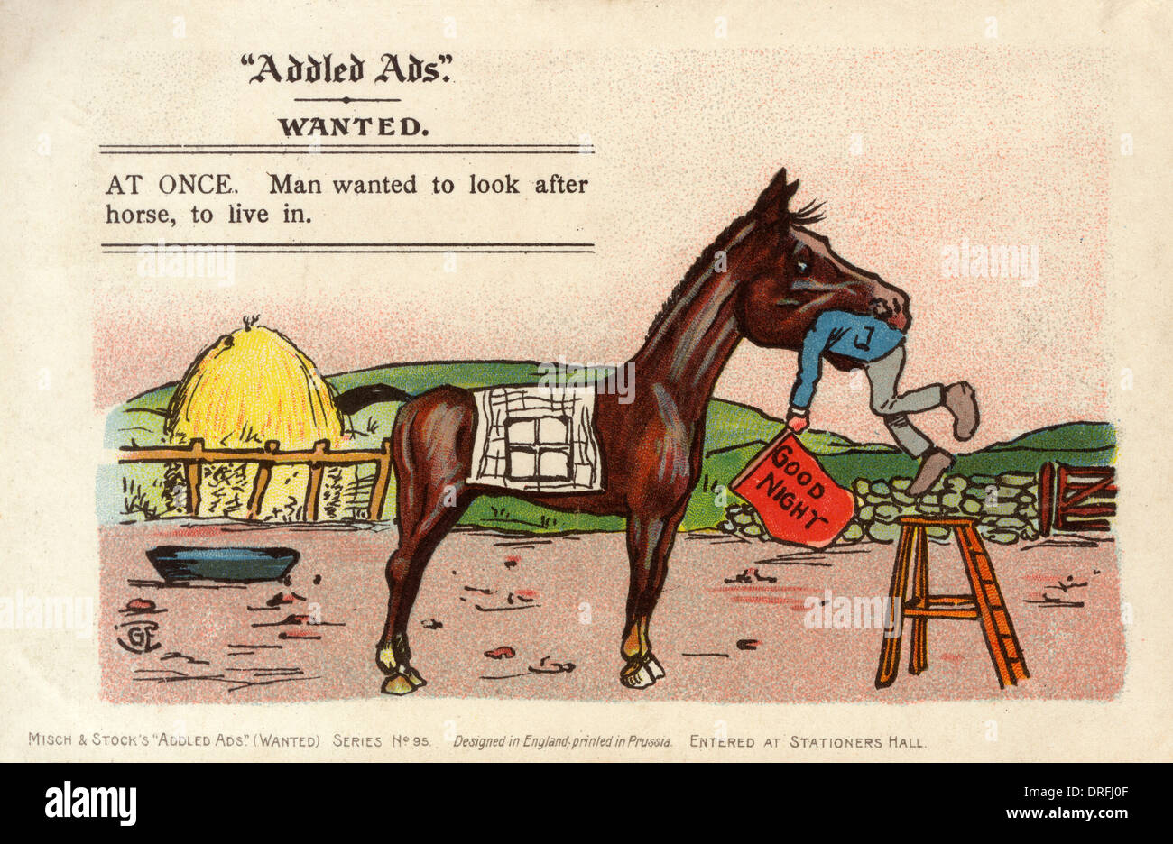 Amusing horse hi-res stock photography and images - Alamy