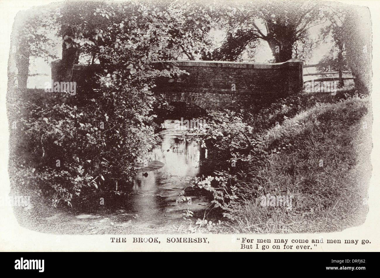 Bridge over the Brook - Somersby Stock Photo - Alamy