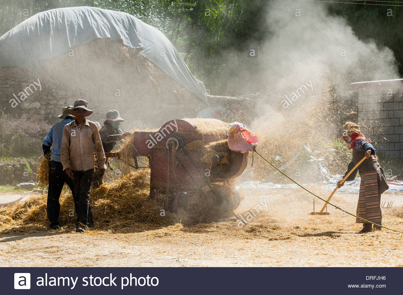 Farmers Threshing Stock Photos & Farmers Threshing Stock Images - Alamy