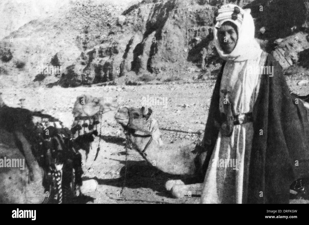 T E Lawrence (Lawrence of Arabia) with camels Stock Photo - Alamy