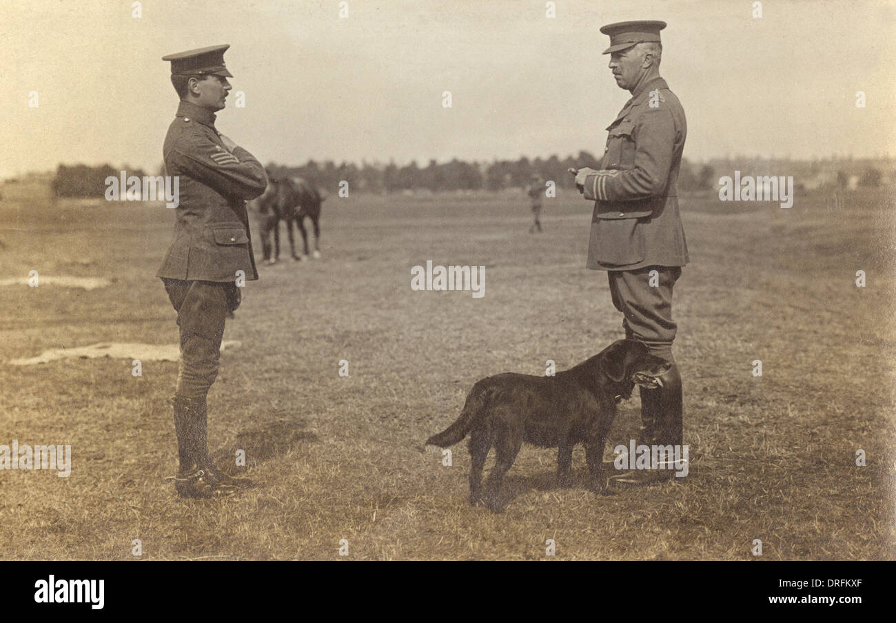 Army dog british hi-res stock photography and images - Alamy