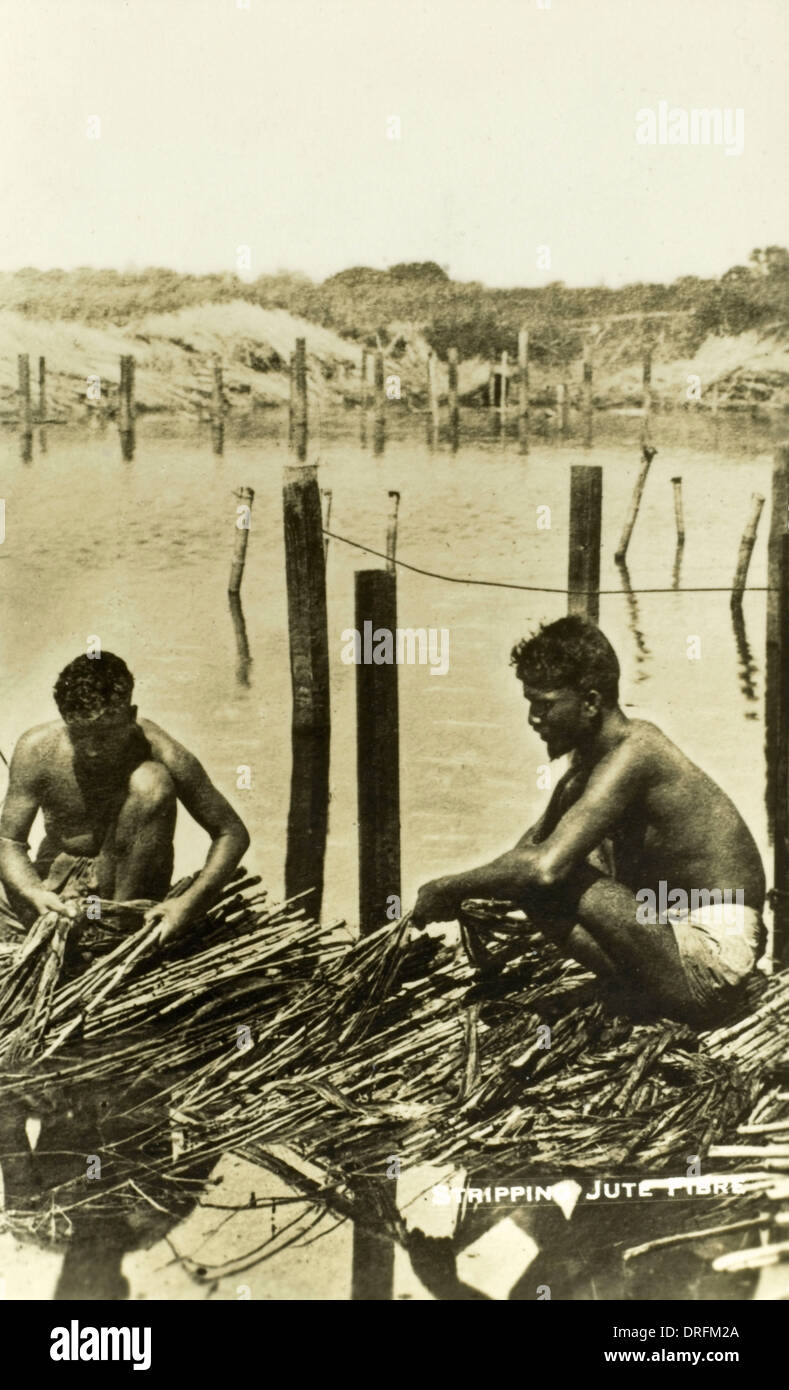 Stripping Jute Fibre - Bangladesh Stock Photo - Alamy