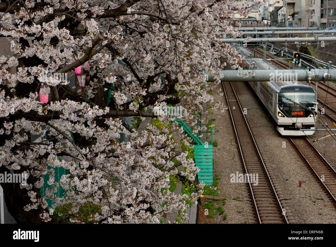 Japanese express trains hi-res stock photography and images - Alamy