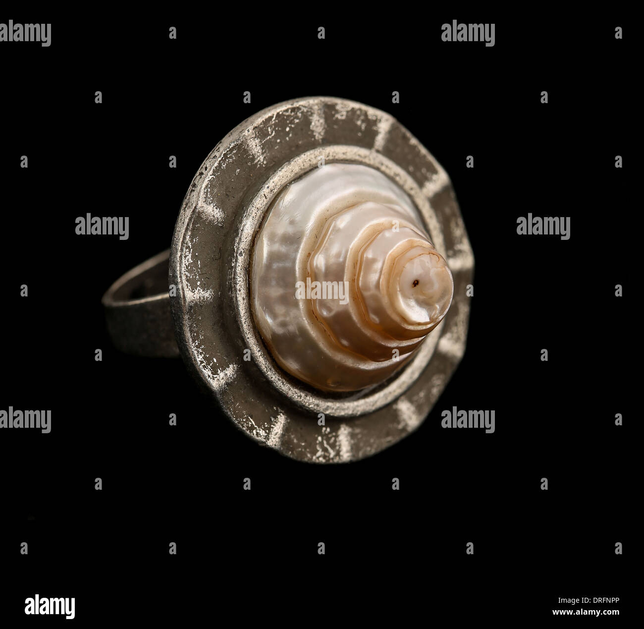 Setting shell hi-res stock photography and images - Alamy