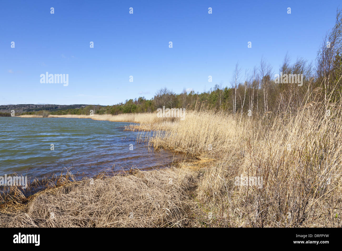Beautiful pit mine lake hi-res stock photography and images - Alamy