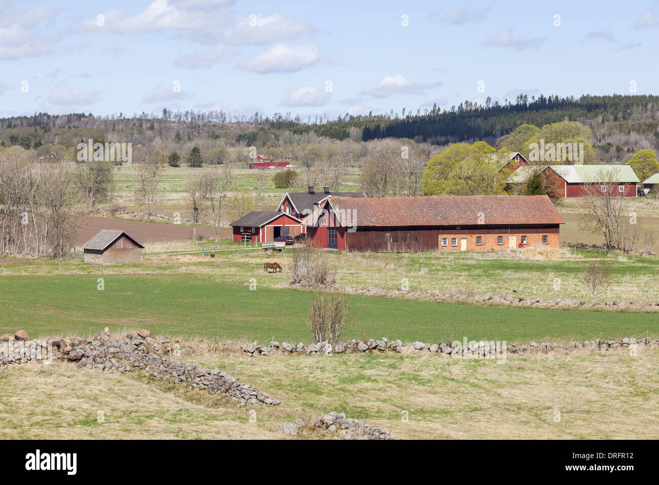 Rural Swedish landscape with farms and fields Stock Photo - Alamy