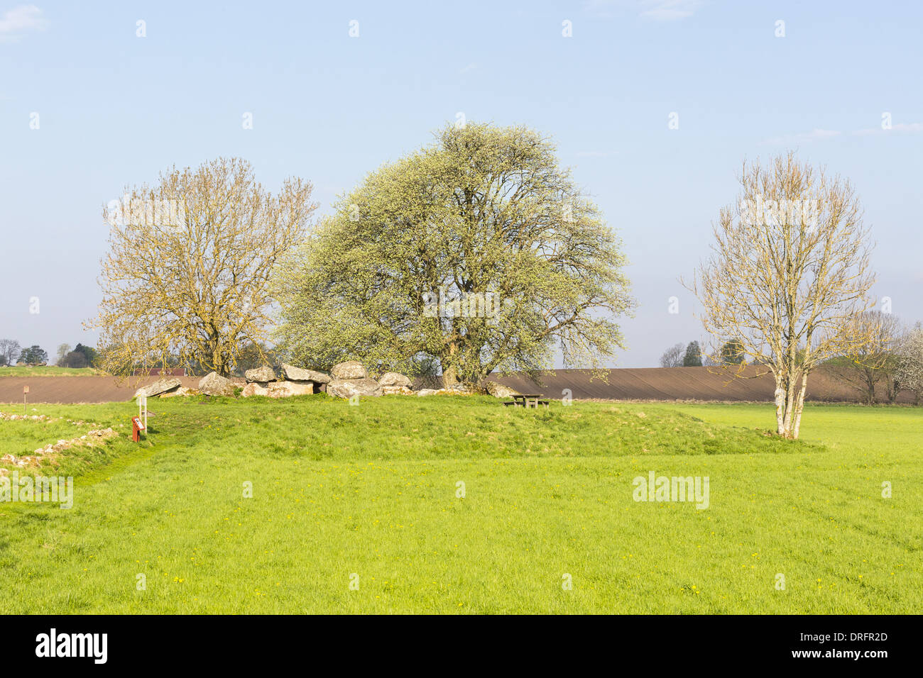 Megalith grave hi-res stock photography and images - Alamy