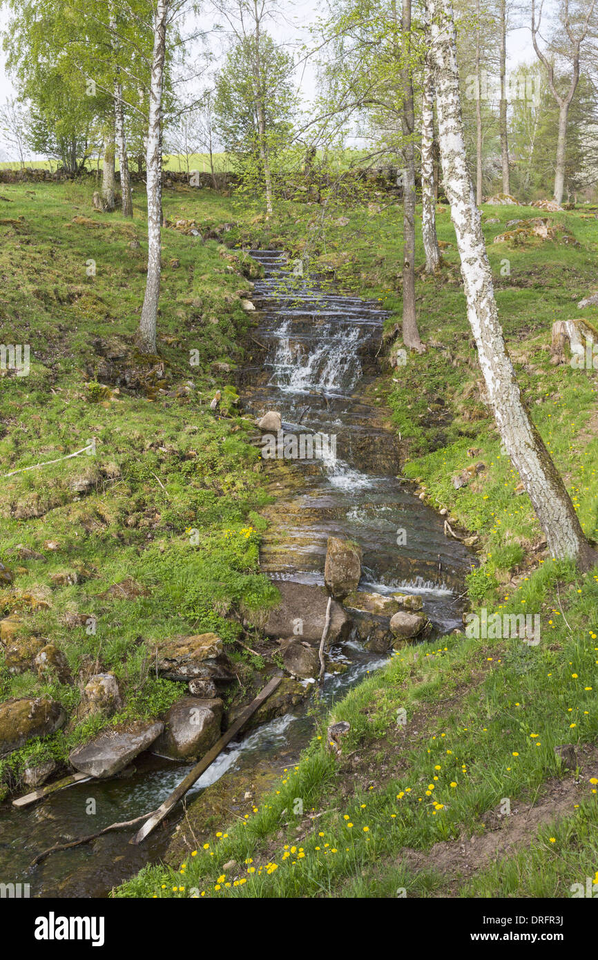 Waterfall in a small ravine at spring Stock Photo - Alamy