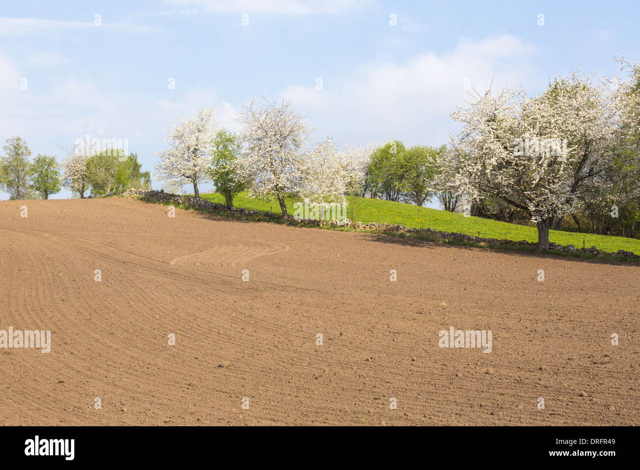 Harrowed field hi-res stock photography and images - Alamy