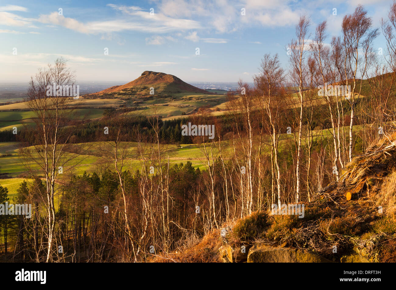 WARM LIGHT, COLD WIND Stock Photo - Alamy