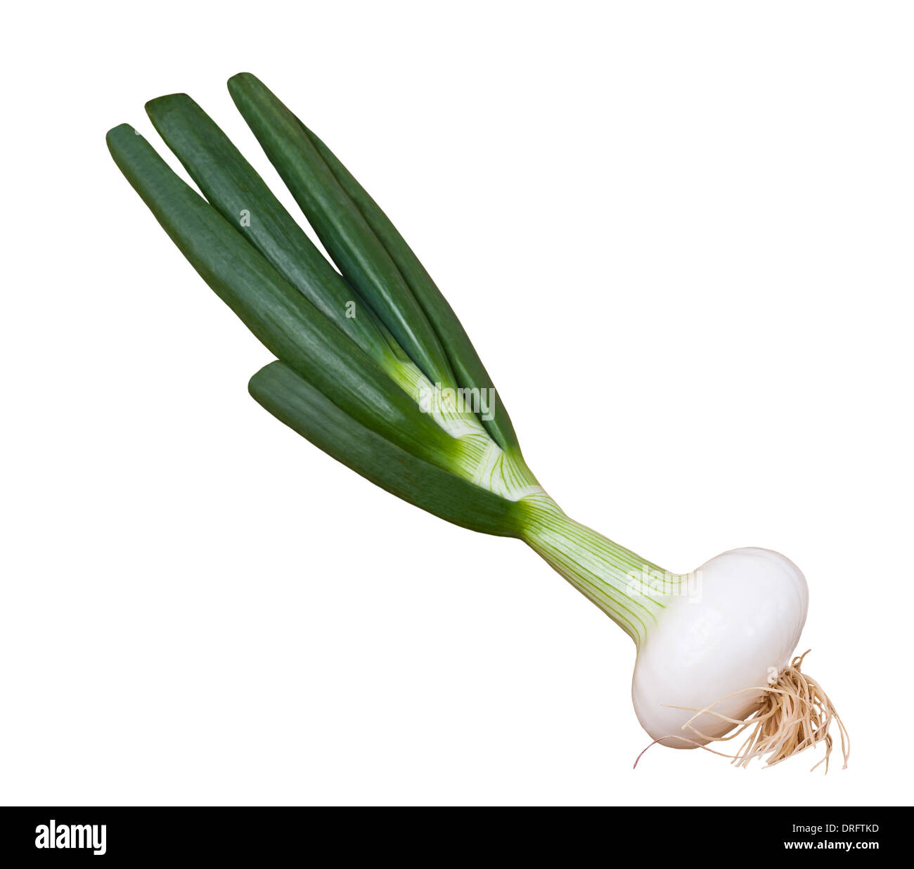 White scallion hi-res stock photography and images - Alamy