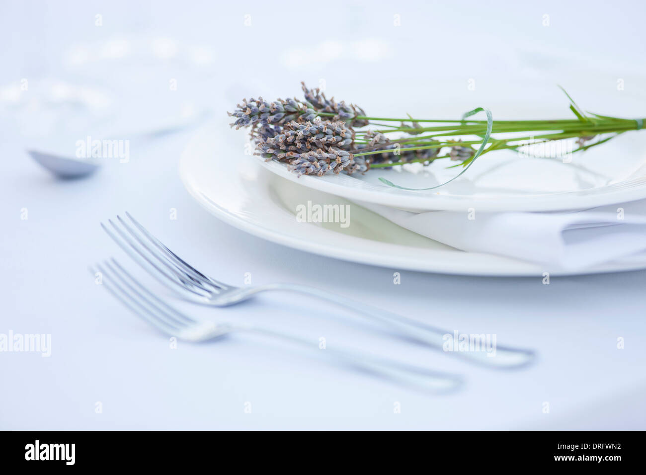 Lavender table setting hi-res stock photography and images - Alamy