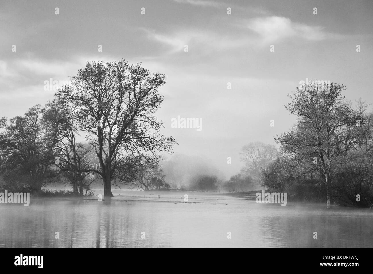 Floods winter Black and White Stock Photos & Images - Alamy