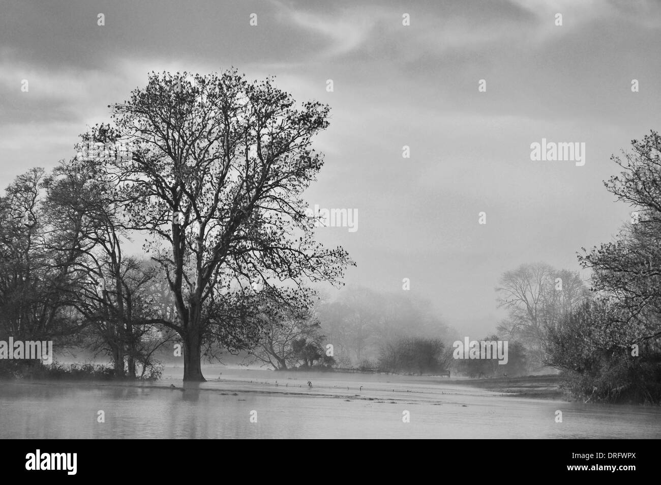 Floods winter Black and White Stock Photos & Images - Alamy