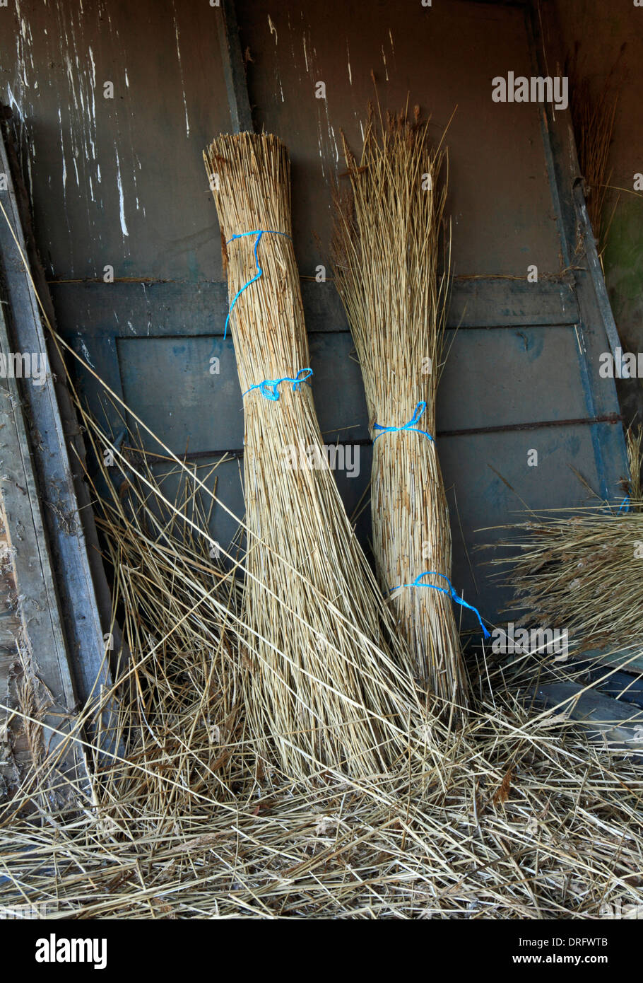 Reed bundles hi-res stock photography and images - Alamy