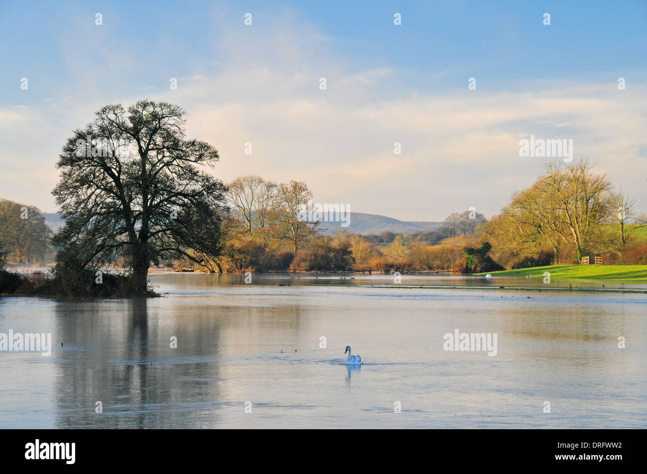 Newbridge hi-res stock photography and images - Alamy