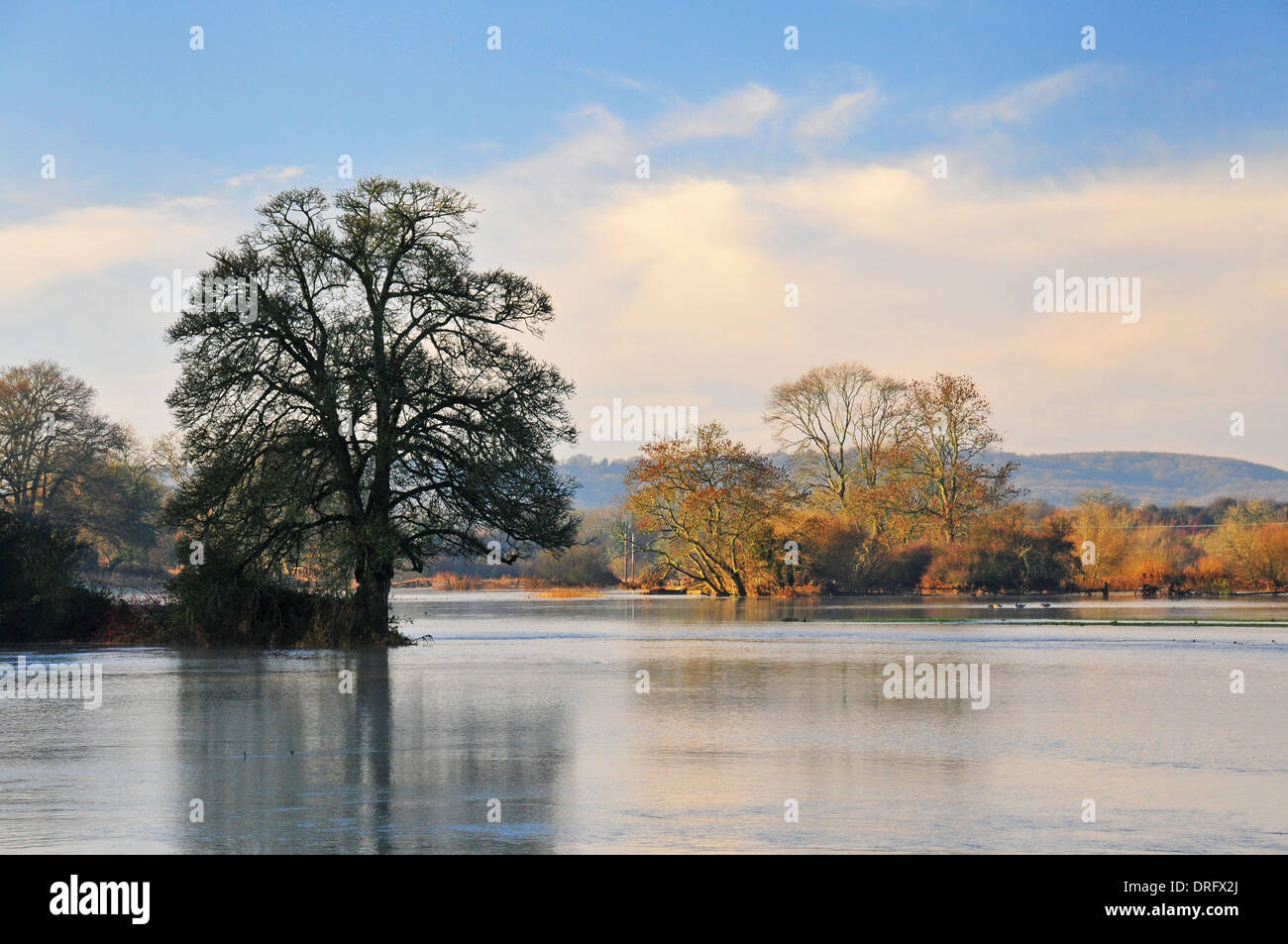Newbridge hi-res stock photography and images - Alamy