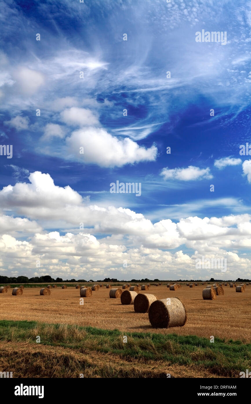 Round bales of straw, Fenland fields near Wisbech, Fenland ...