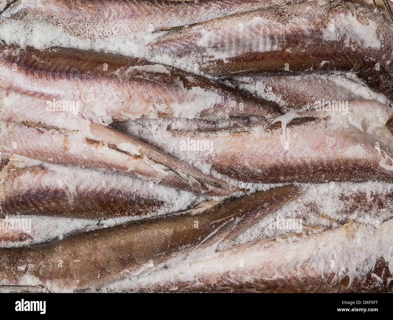 frozen carcass fish in brick for trade, background Stock Photo - Alamy