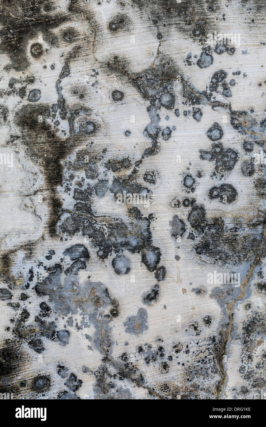 India, Rajasthan, Pushkar, plaster wall grunge Stock Photo - Alamy
