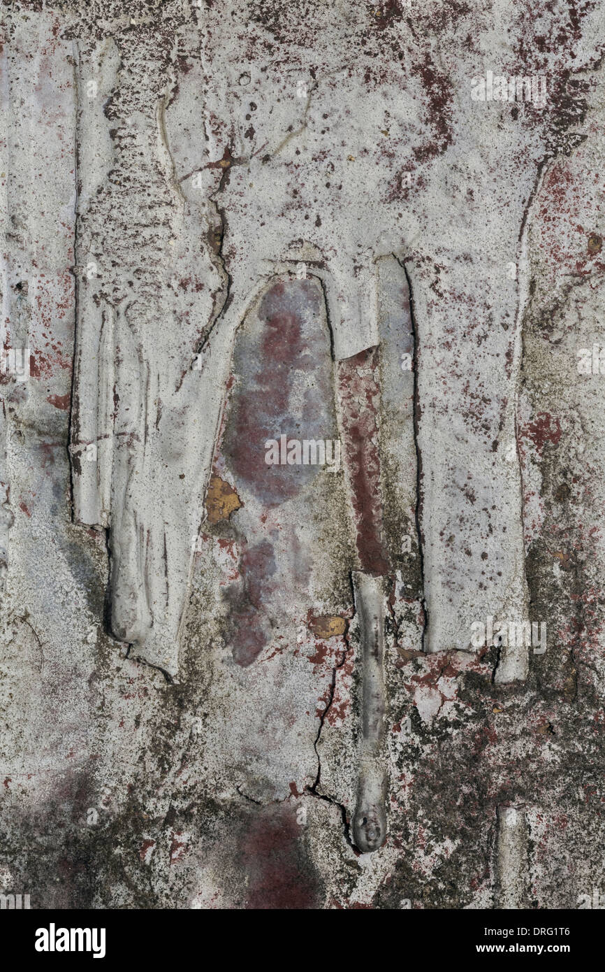 India, Rajasthan, Pushkar, plaster wall grunge Stock Photo - Alamy