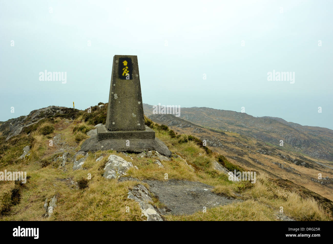 Sheep’s head way hi-res stock photography and images - Alamy