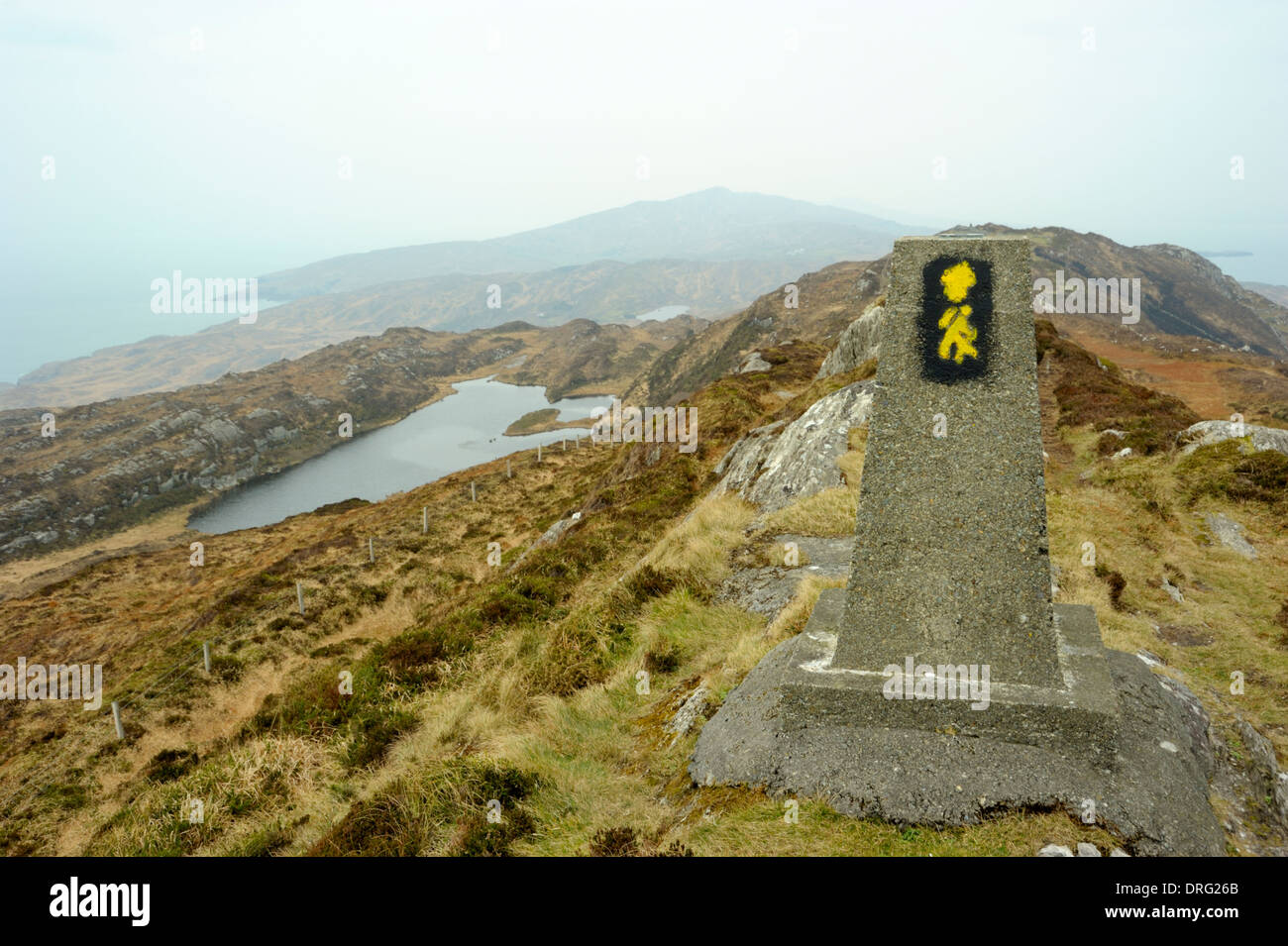 Sheeps head way hi-res stock photography and images - Alamy