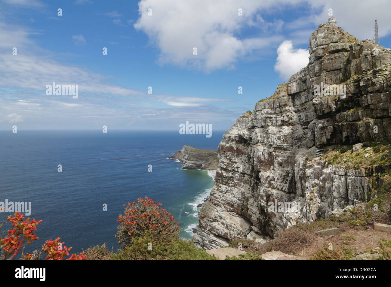 African butter tree hi-res stock photography and images - Alamy