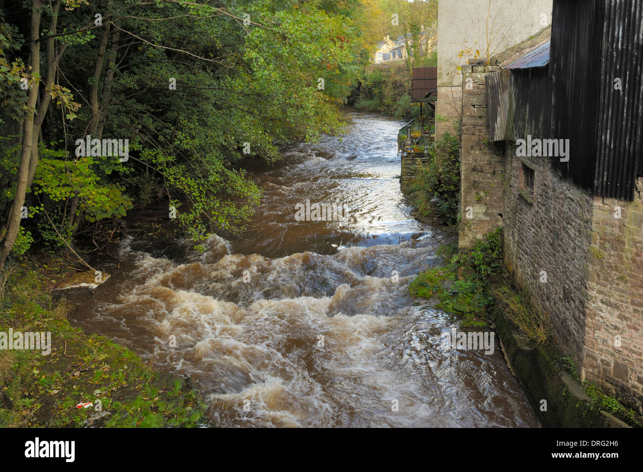 Honddu River High Resolution Stock Photography and Images - Alamy
