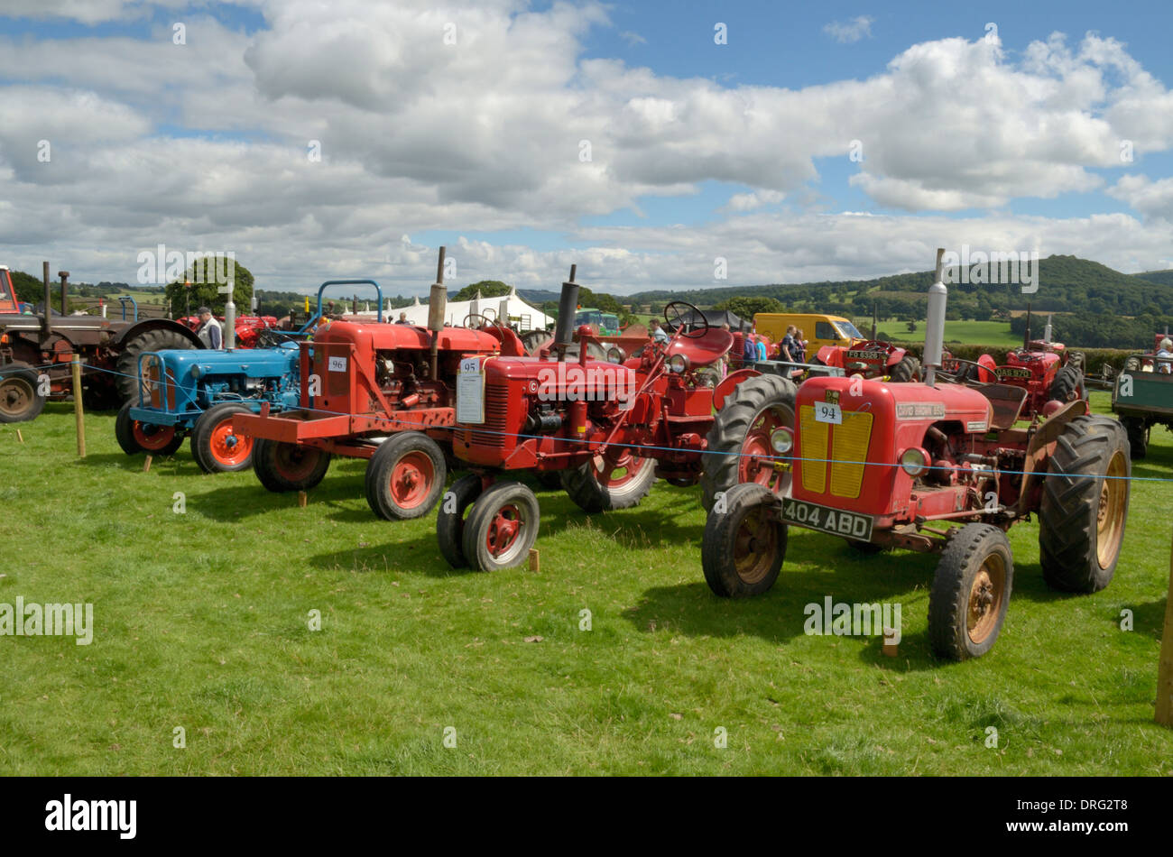 Tractors at Three Cocks Vintage Steam Rally Stock Photo - Alamy