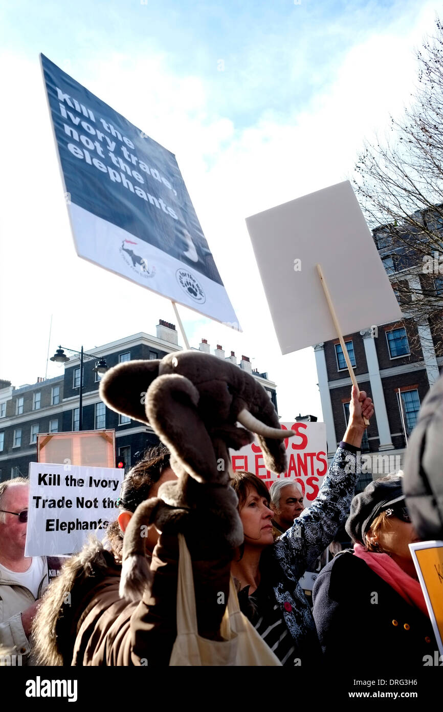 Save our wildlife protest uk hi-res stock photography and images - Alamy